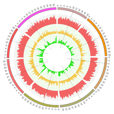 Lucas Waser / BIO226 · GitLab